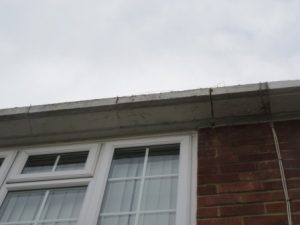 Finlock Gutters | Brian Gale Surveyors